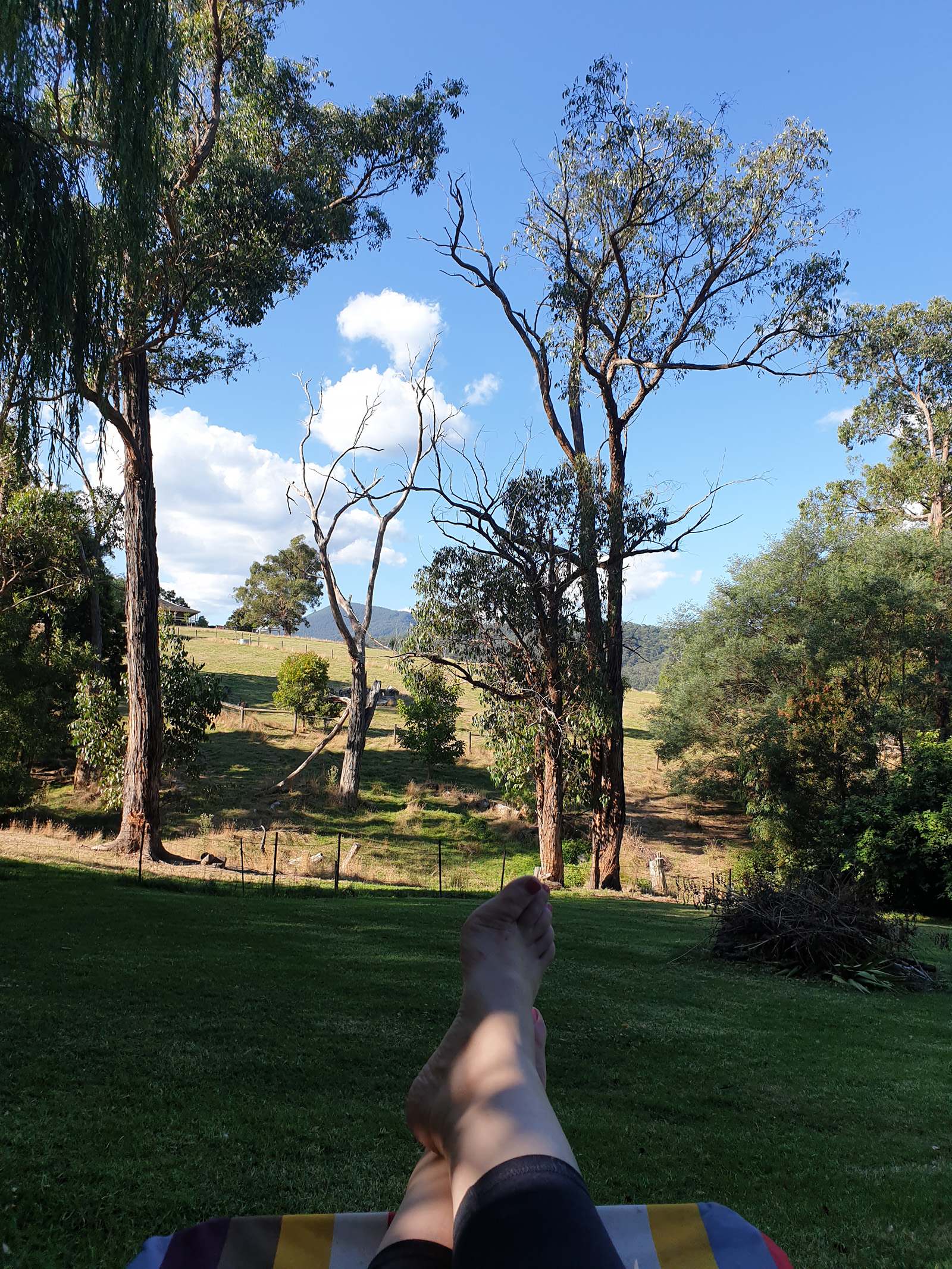 About – Melanie Fisher